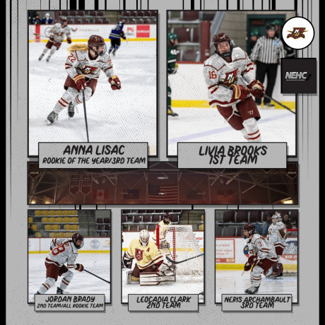 Women's Ice Hockey: Lisac Takes Home NEHC Rookie of the Year, Leads ...